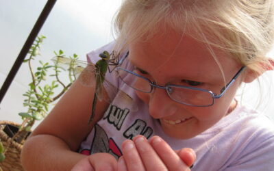 Different Names For 22q – 22 q