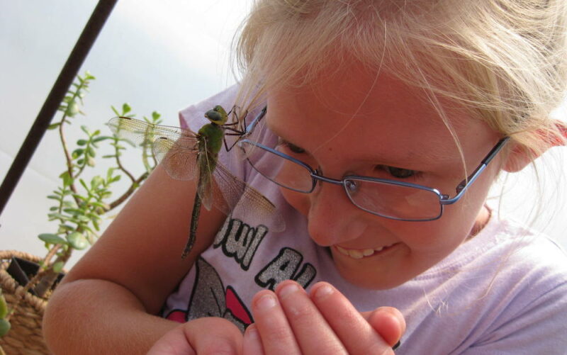 Different Names For 22q – 22 q